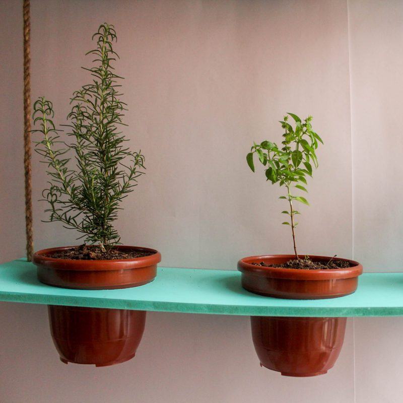Horta em Casa: Como Fazer e 68 Inspirações Incríveis com Fotos