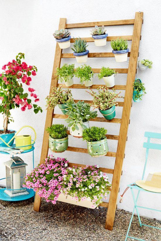 Jardim Simples: 60 Ideias, Fotos e Passo a Passo Fácil