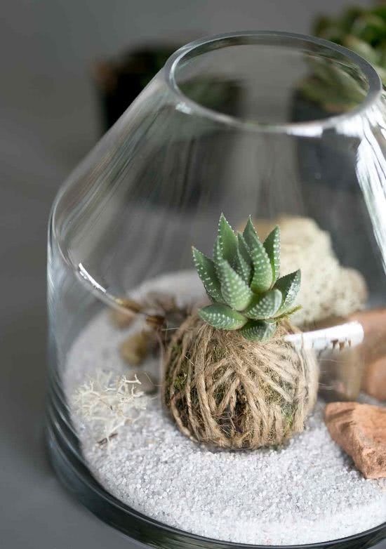 Terrário: 60 Modelos, Plantas e Como Fazer Passo a Passo!