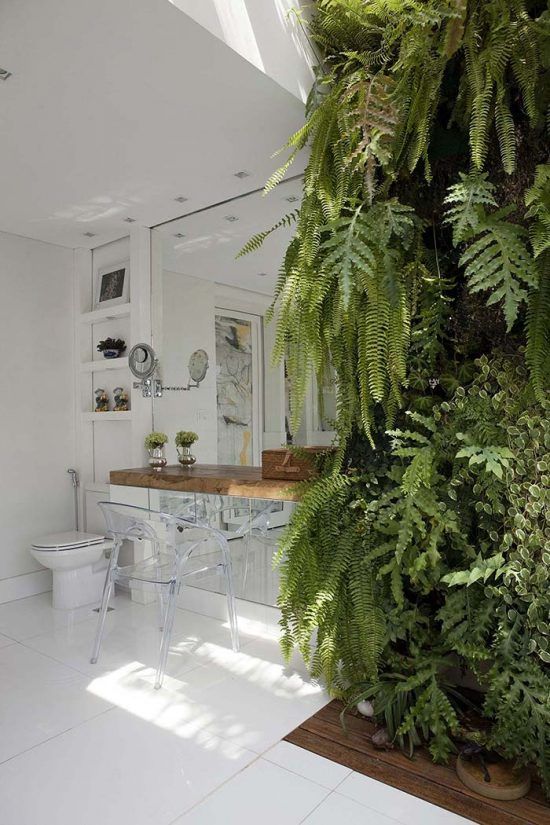 Samambaia: Como Cuidar e 60 Ideias de Decoração Com a Planta