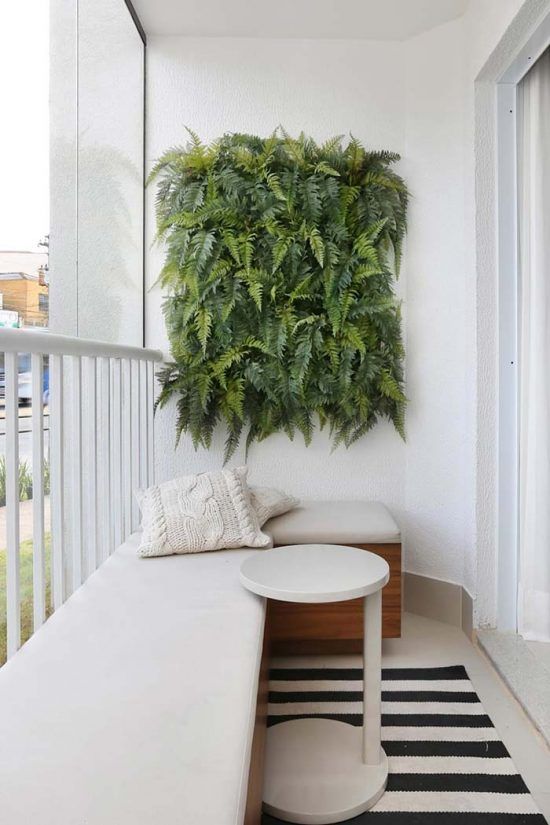 Samambaia: Como Cuidar e 60 Ideias de Decoração Com a Planta
