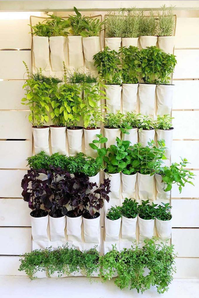 Horta Vertical: Saiba Como Montar + 60 Fotos de Decoração