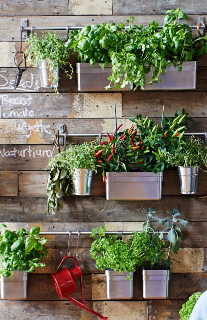 Horta Vertical: Saiba Como Montar + 60 Fotos de Decoração