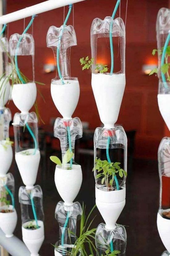 Horta Vertical: Saiba Como Montar + 60 Fotos de Decoração