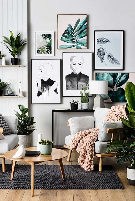 Plantas Para Sala: Principais Espécies + 60 Fotos de Decoração