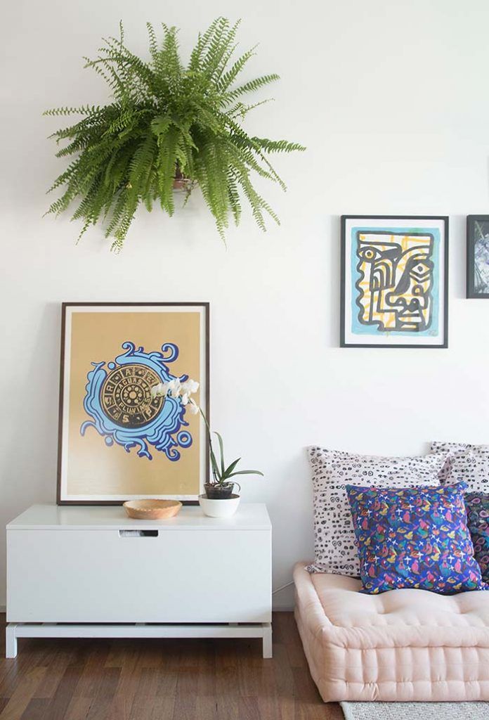 Plantas Para Sala: Principais Espécies + 60 Fotos de Decoração