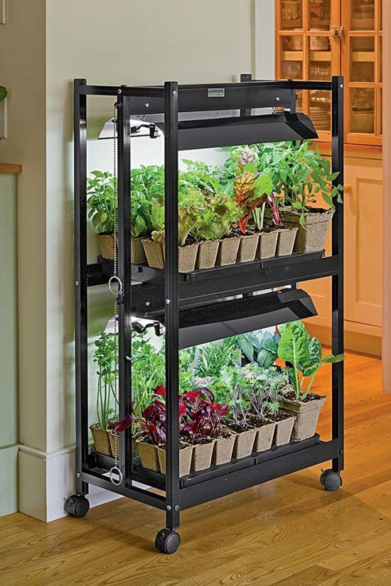 Horta Caseira: Saiba Como Fazer + 60 Ideias Criativas de Decoração