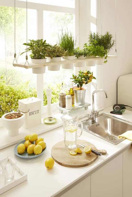 Horta Caseira: Saiba Como Fazer + 60 Ideias Criativas de Decoração