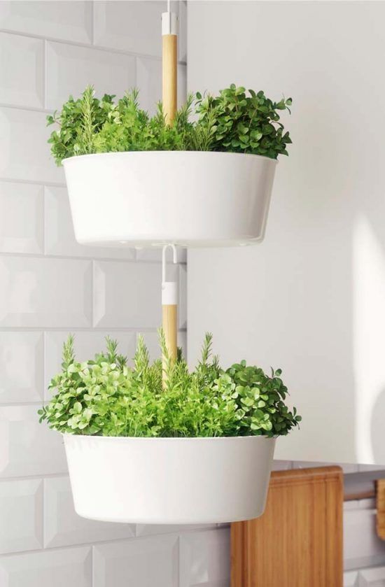 Horta Caseira: Saiba Como Fazer + 60 Ideias Criativas de Decoração