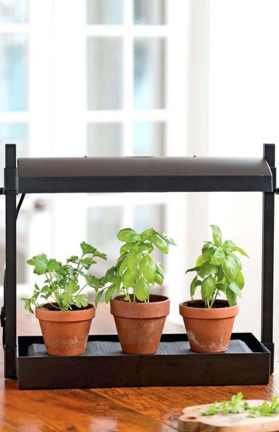 Horta Caseira: Saiba Como Fazer + 60 Ideias Criativas de Decoração