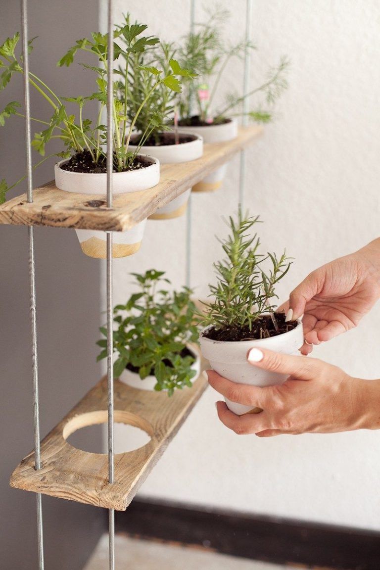Horta Caseira: Saiba Como Fazer + 60 Ideias Criativas de Decoração