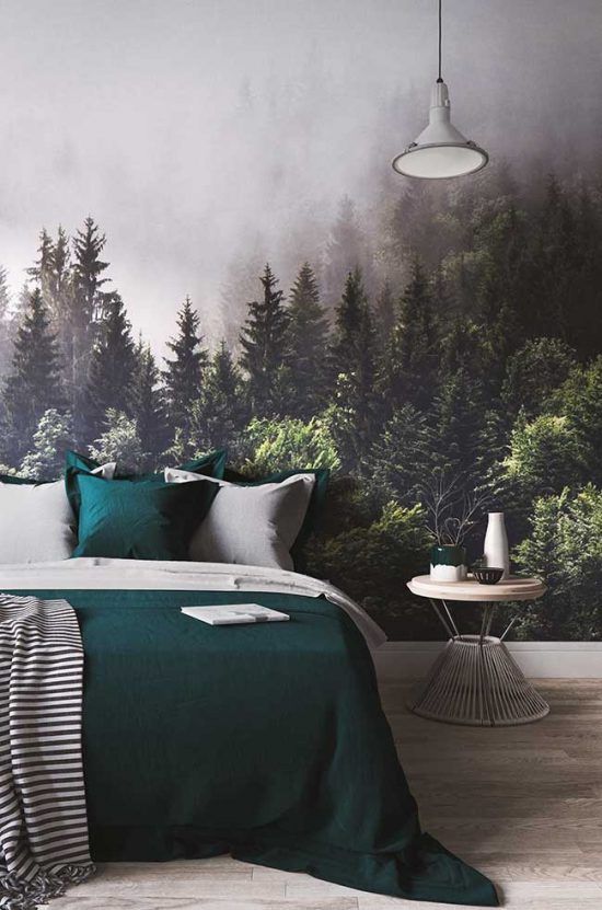 Parede Verde: Diferentes Tons da Cor Para Decoração Interna