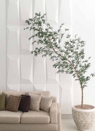 Bambu Mossô: Como Cuidar, Características e 60 Ideias para Decorar