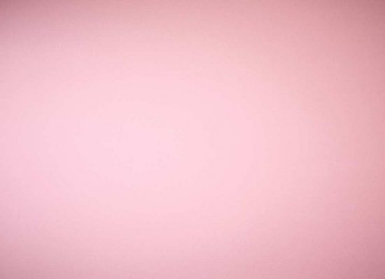 Rosa: Significado da Cor-de-Rosa, Curiosidades e Ideias de Decoração