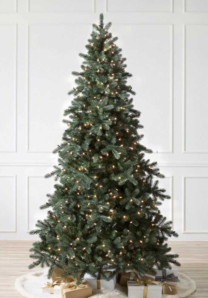 Pinheiro de Natal: 60 Modelos, Como Decorar e Onde Comprar