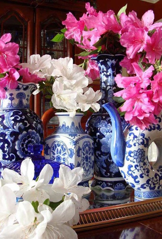Azaleia: Curiosidades, Como Cuidar e 60 Fotos de Decoração