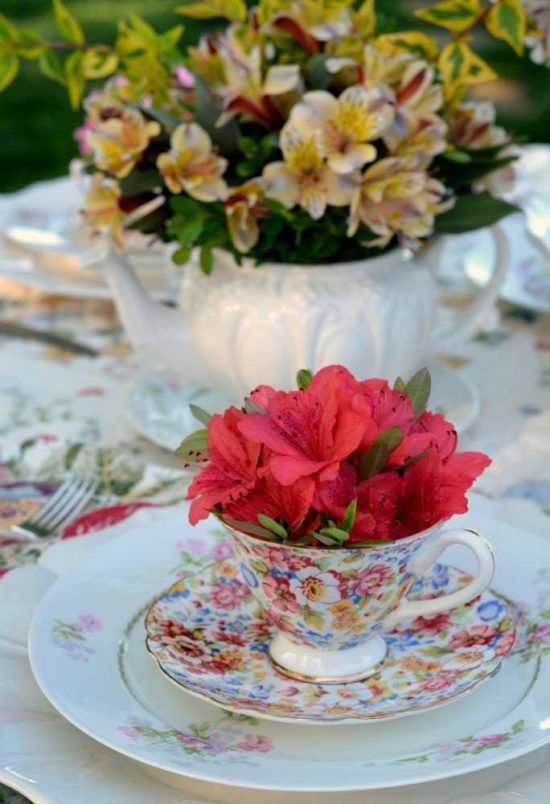 Azaleia: Curiosidades, Como Cuidar e 60 Fotos de Decoração