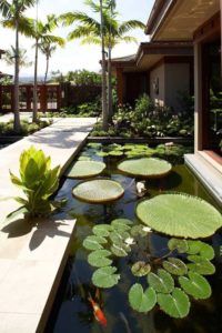 Lago Artificial: O que é, Como Fazer, Cuidados e Fotos