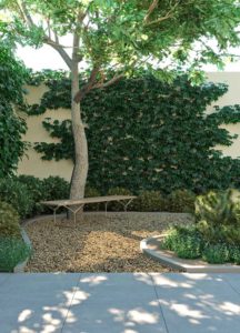 Trepadeira: Espécies, Cuidados e Fotos de Decoração com a Planta