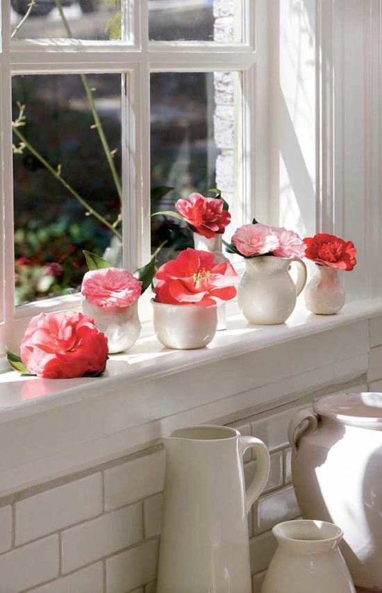 Flores Lindas: 40 Tipos, Espécies e 60 Fotos Inspiradoras