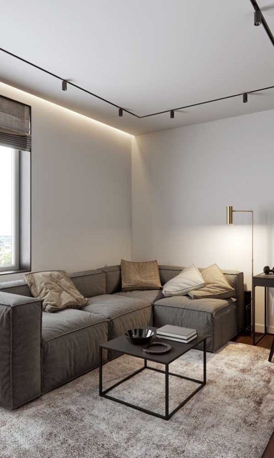 Sala de Estar Pequena: 80 Modelos, Fotos e Projetos Incríveis