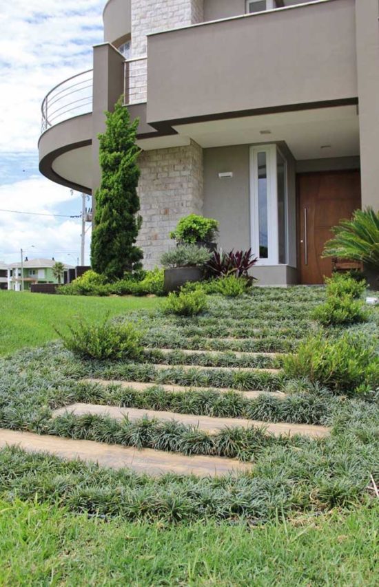 Kaizuka: Como Plantar, Como Cuidar e Fotos de Paisagismo