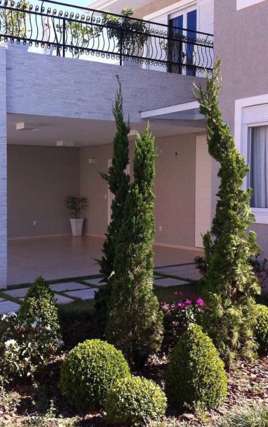 Kaizuka: Como Plantar, Como Cuidar e Fotos de Paisagismo