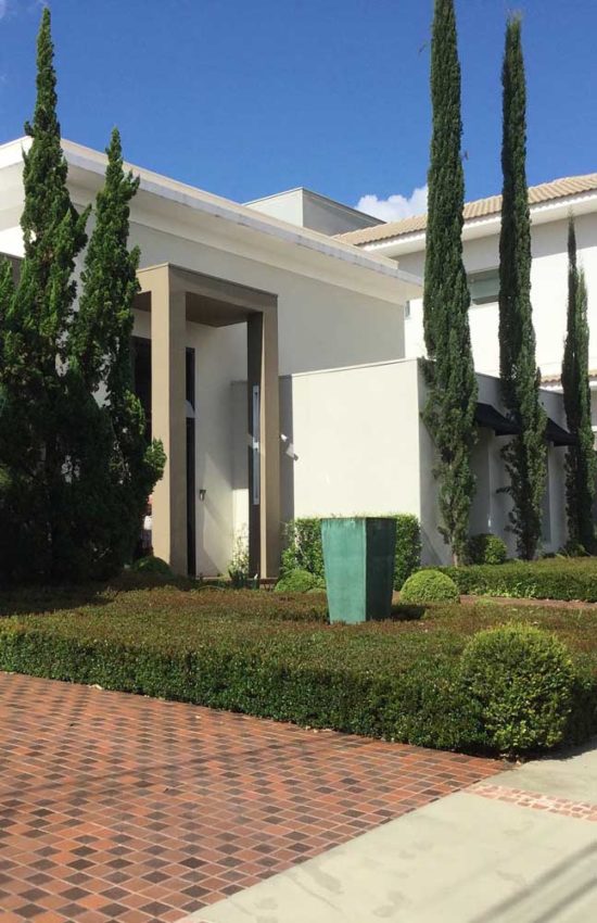 Kaizuka: Como Plantar, Como Cuidar e Fotos de Paisagismo