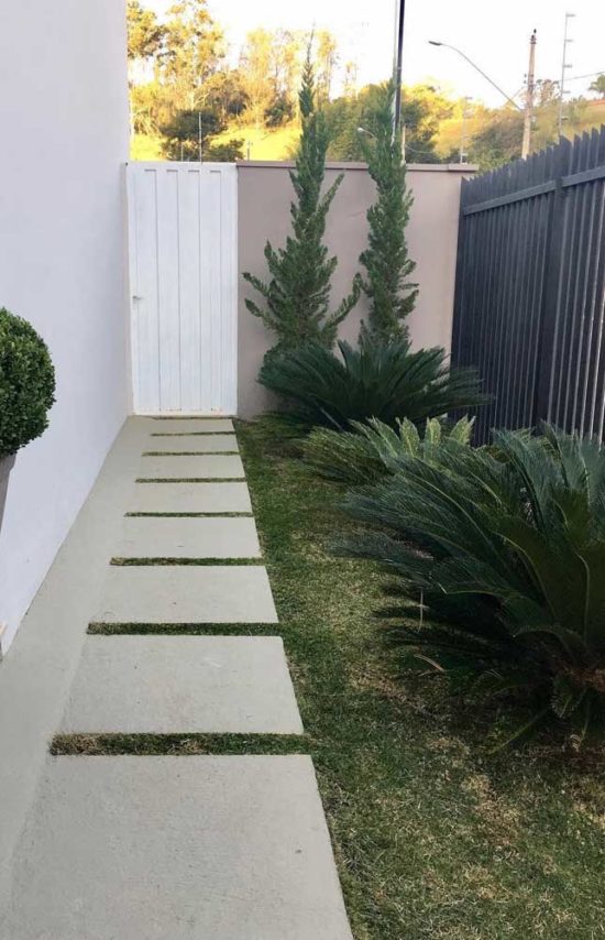 Kaizuka: Como Plantar, Como Cuidar e Fotos de Paisagismo