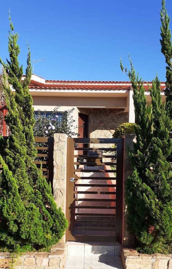 Kaizuka: Como Plantar, Como Cuidar e Fotos de Paisagismo