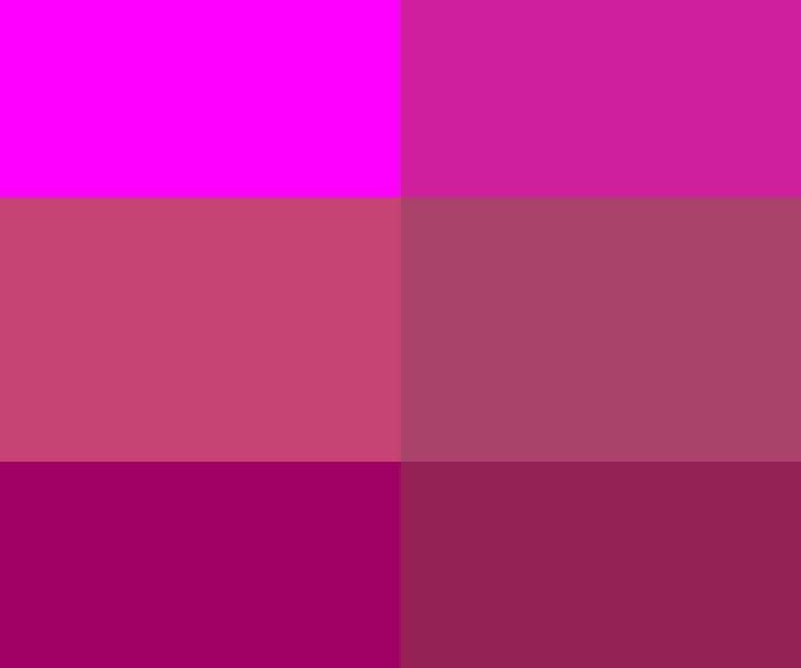 Fúcsia: Como Usar a Cor na Decoração e Fotos de Ambientes