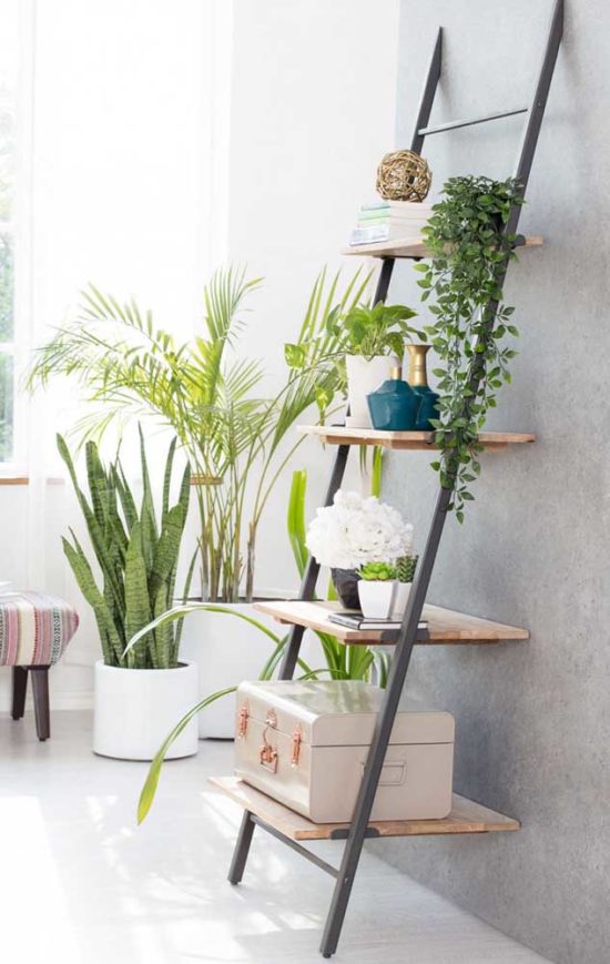 Estante Escada: Veja Como Fazer, Por Que Ter Uma em Casa e Fotos