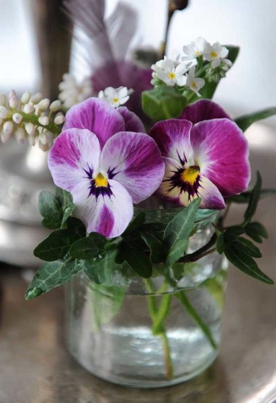 Flores de Inverno: Espécies, Dicas e 60 Fotos Inspiradoras