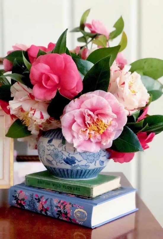 Flores de Inverno: Espécies, Dicas e 60 Fotos Inspiradoras