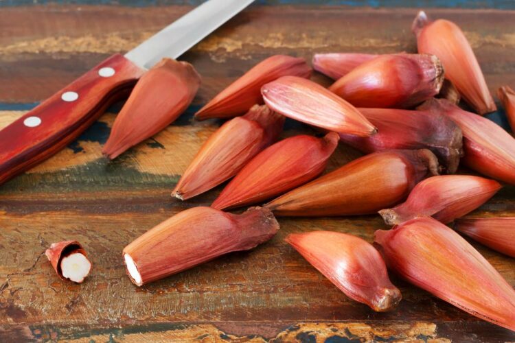 Como Cozinhar Pinhão: Veja As Principais Formas e Como Descascar