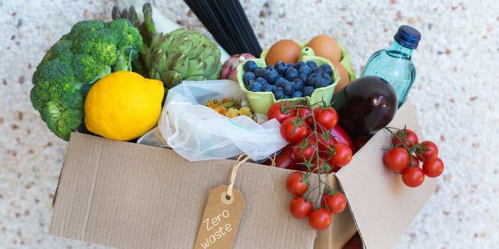 Lixo Orgânico e Inorgânico: Como Separar e Dicas Essenciais