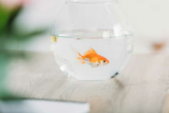 Reuso de Água: Importância, Como Fazer e Dicas para Adotar Já!