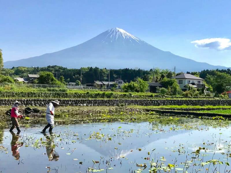 Ecovilas: O Que São e Como Fazer Para Morar em Uma Delas