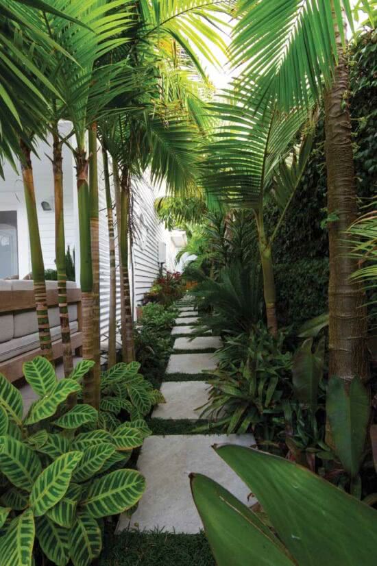 Jardim Tropical: O que é? Como Fazer, Dicas e Fotos