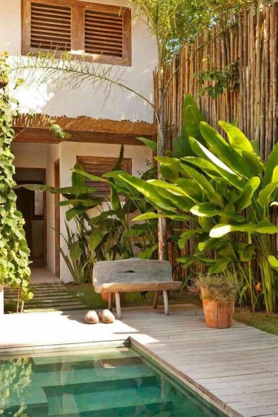 Jardim Tropical: O que é? Como Fazer, Dicas e Fotos