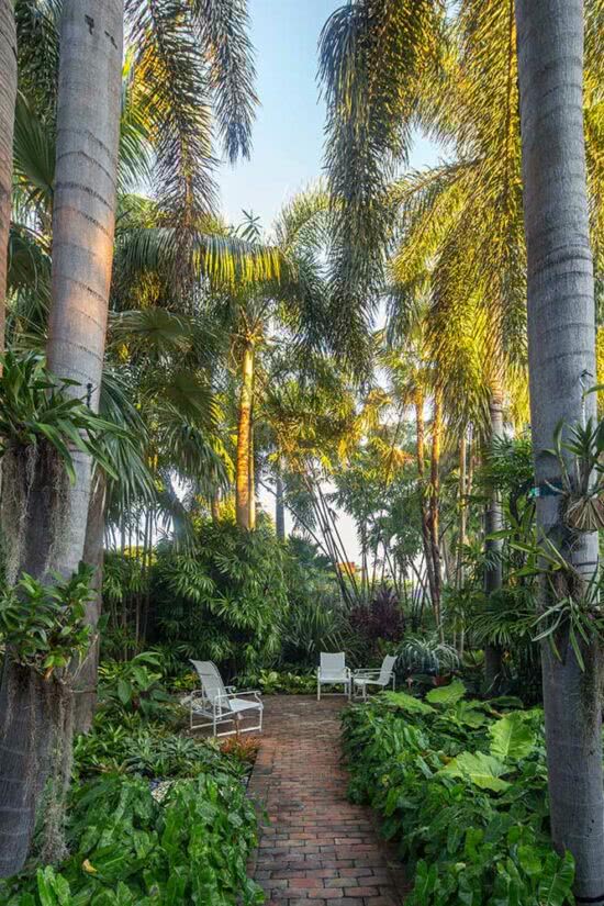 Jardim Tropical: O que é? Como Fazer, Dicas e Fotos