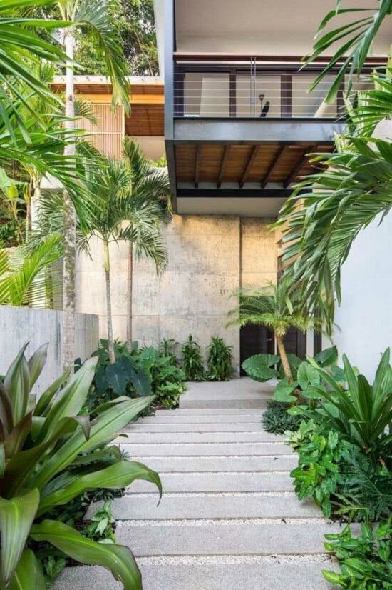 Jardim Tropical: O que é? Como Fazer, Dicas e Fotos