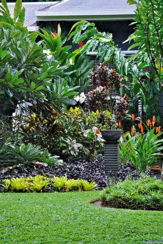 Jardim Tropical: O que é? Como Fazer, Dicas e Fotos