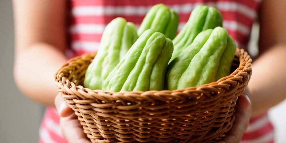 Como Cozinhar Chuchu: Como Escolher e Dicas Para Preparar