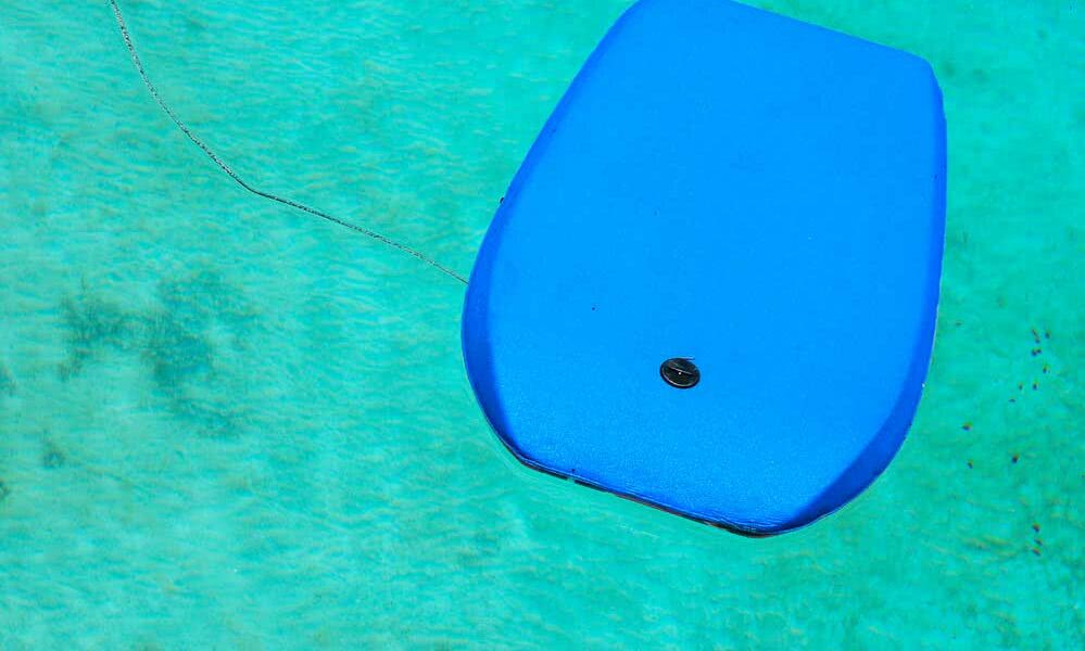 Piscina Verde: Veja Como Tratar a Água Verde da Piscina Passo a Passo