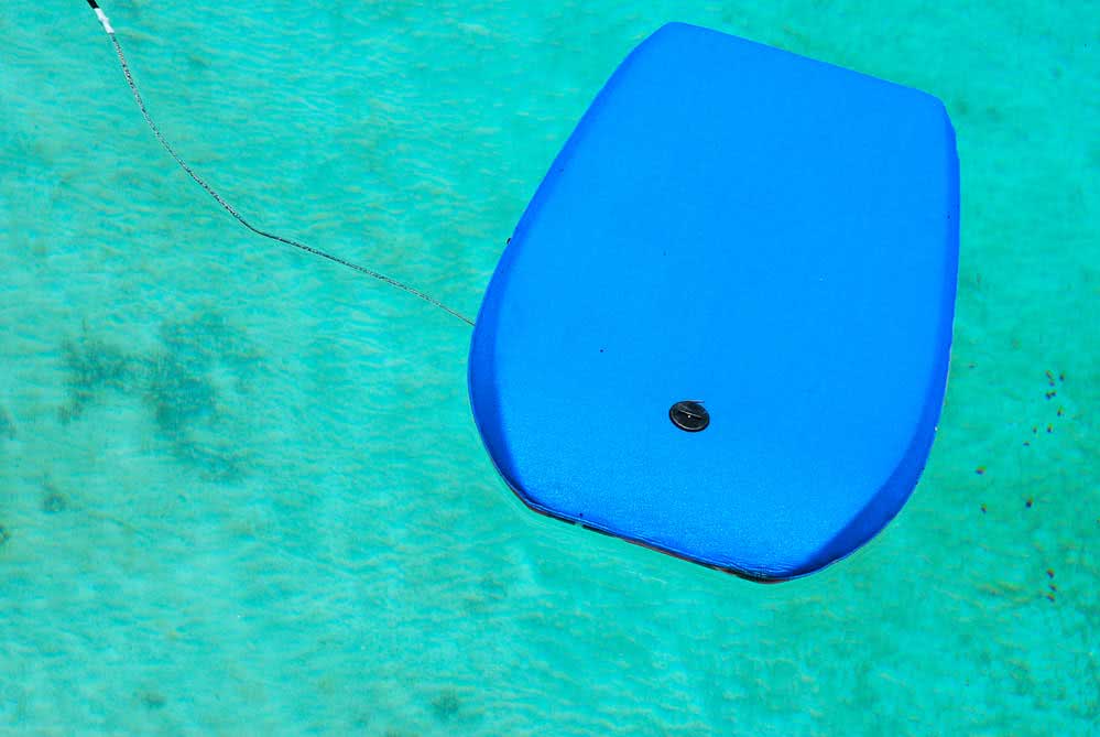 Piscina Verde: Veja Como Tratar a Água Verde da Piscina Passo a Passo