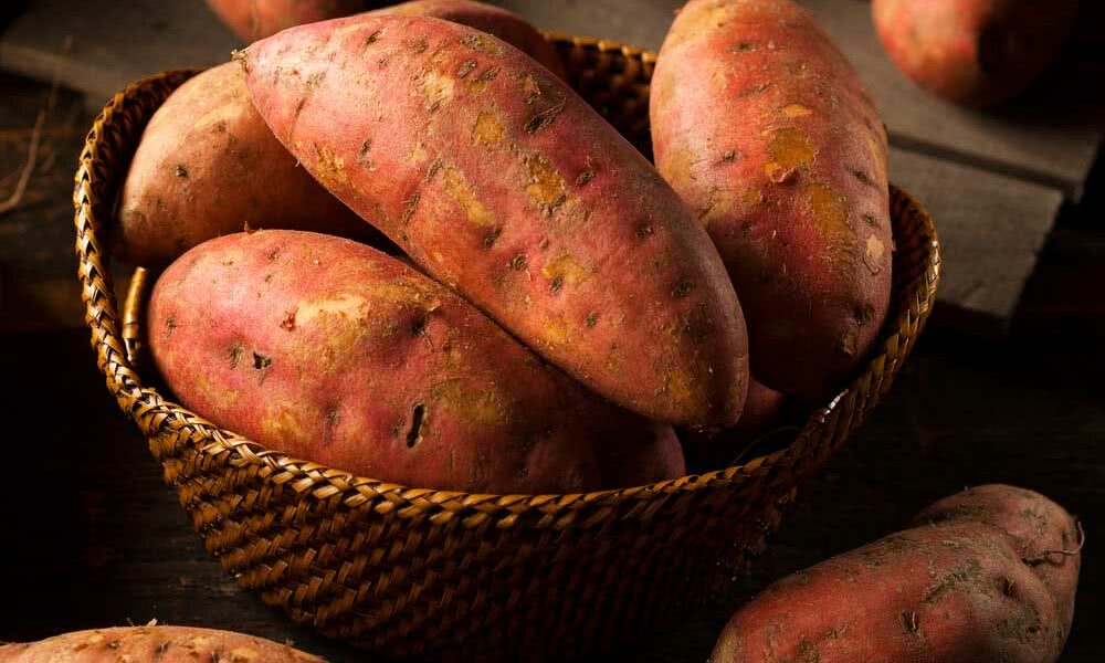 Como Plantar Batata Doce: Conheça 3 Formas para Cultivar o Tubérculo