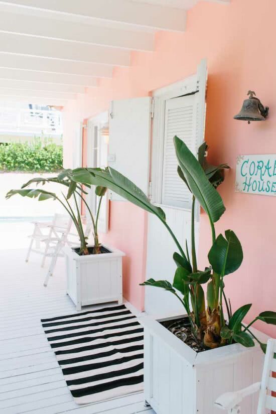 Cor Coral: Significado, Exemplos, Combinações e Fotos