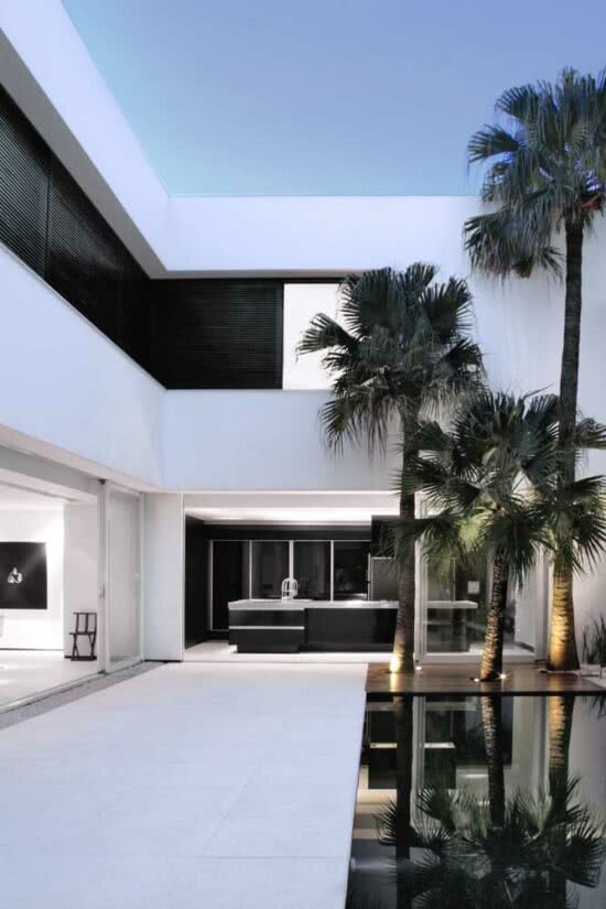 Coqueiro de Jardim: Tipos, Como Plantar, Dicas e Fotos para se Inspirar