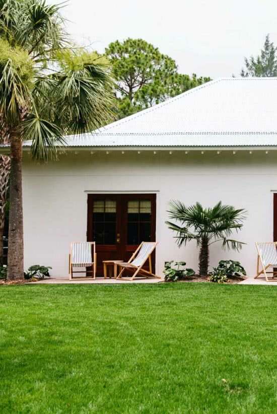 Coqueiro de Jardim: Tipos, Como Plantar, Dicas e Fotos para se Inspirar